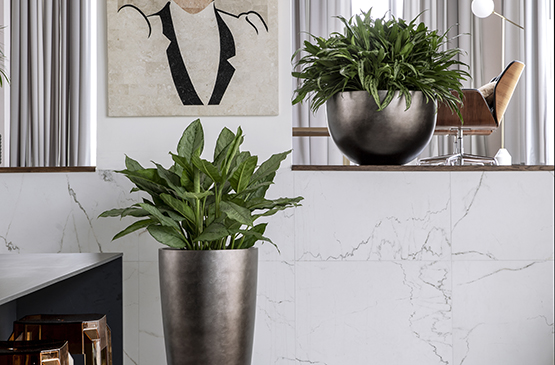 Series and Collections – BAQ