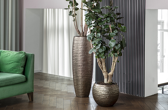 Series and Collections – BAQ