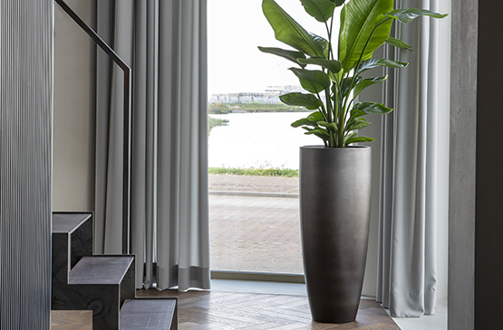 Series and Collections – BAQ