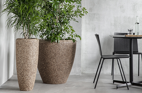 Series and Collections – BAQ