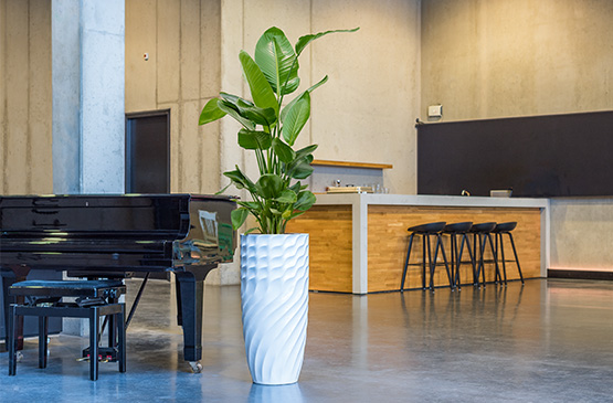 Series and Collections – BAQ