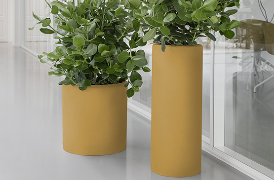 Series and Collections – BAQ