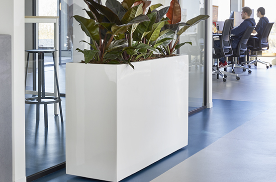 Series and Collections – BAQ